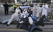 New Zealand, Australia lead Japan whaling protest - Global Times