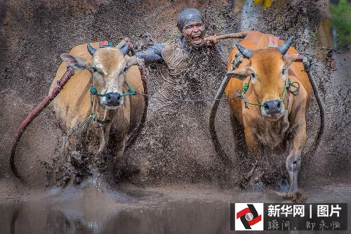 Crazy competitions around the world - Global Times