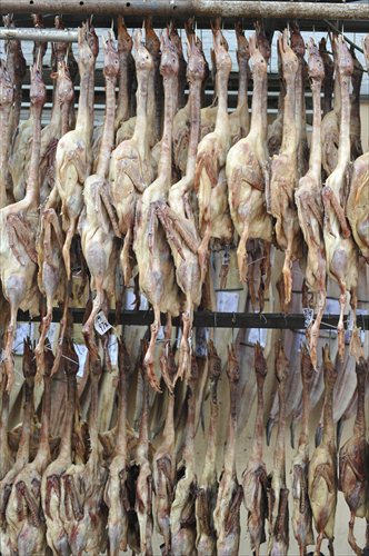 ‘Tis the season for air-dried meats and fish, a Shanghai winter ...