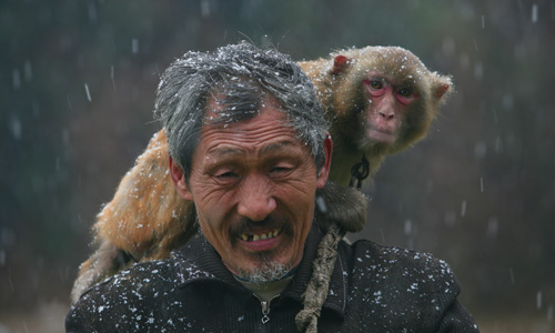 A tragicomic journey with monkeys - Global Times