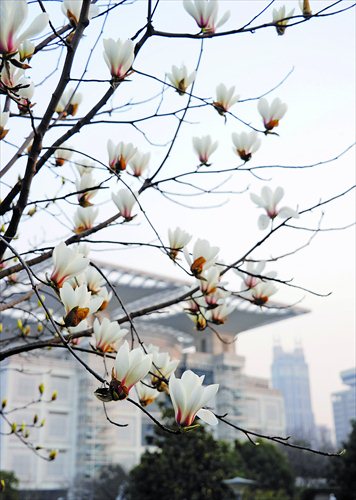 In bloom - Global Times