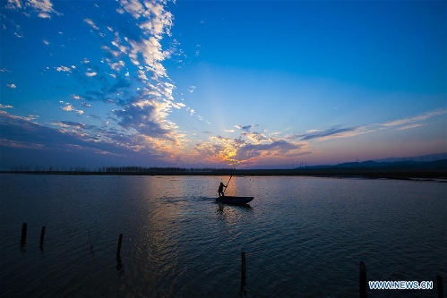 Scenery of Poyang Lake, E China's Jiangxi - Global Times