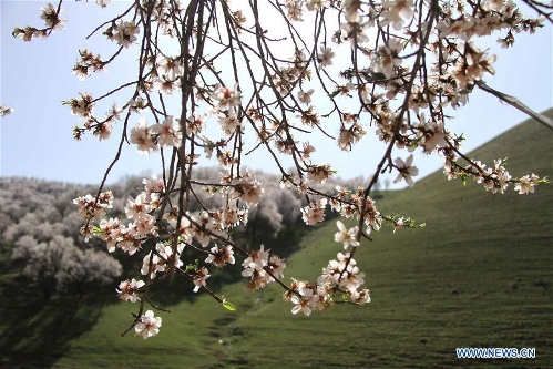 People in Uzbekistan greet beginning of spring - Global Times