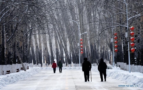 Rime scenery of Huma County in NE China's Heilongjiang - Global Times