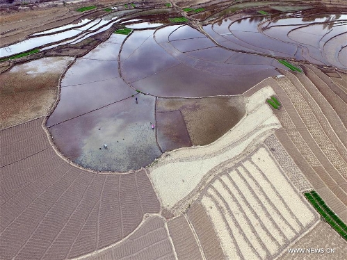 Spring ploughing fields in Bose City, S China's Guangxi - Global Times