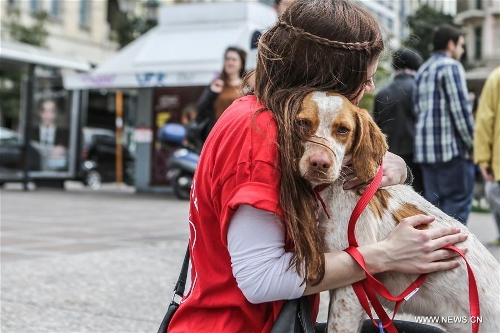 Stray dog adoption event held in Greece - Global Times