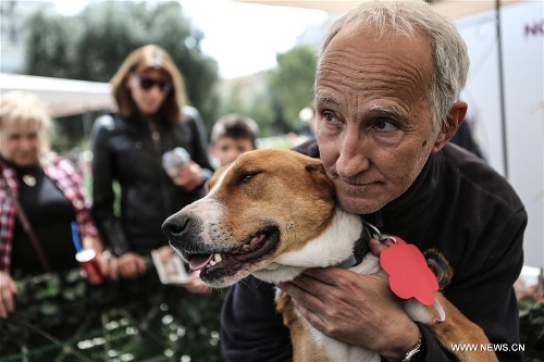 Stray dog adoption event held in Greece - Global Times