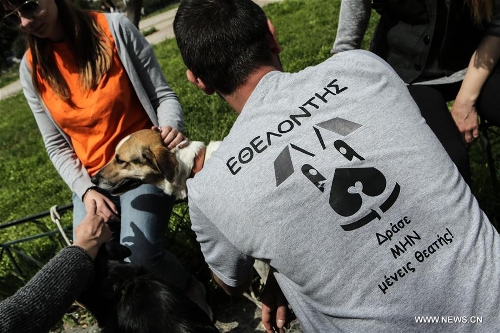 Stray dog adoption event held in Greece - Global Times