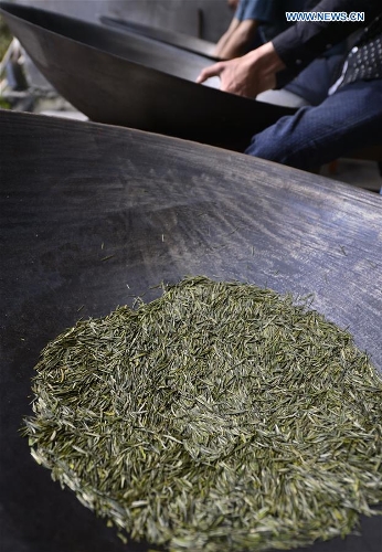 Tea making in C China's Hubei - Global Times