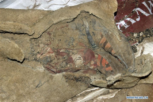 Mongolian archaeologists excavate rare intact ancient mummy - Global Times