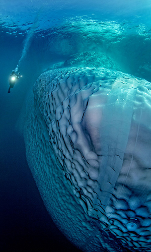 Big bottoms! Revealing photos show that beauty of icebergs is more than ...