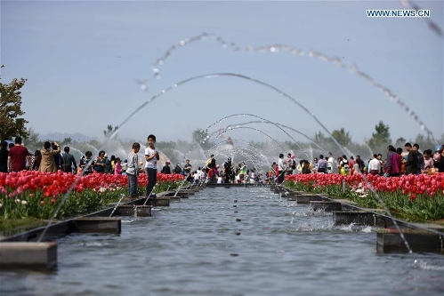 Millions' flowers in full bloom at Int'l Flower Port in Beijing ...