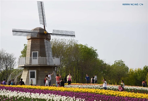 Millions' flowers in full bloom at Int'l Flower Port in Beijing ...