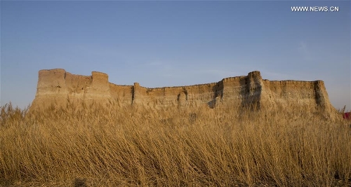 Landscape of soil forest in N China's Shanxi - Global Times