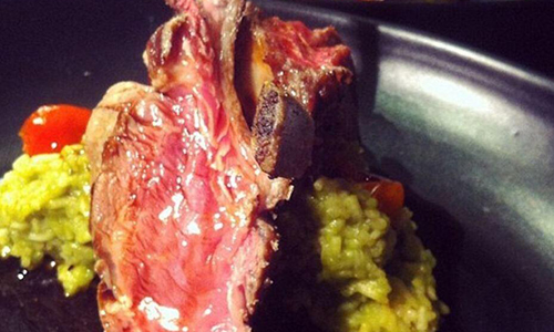 Eating alpaca meat gains popularity in Australia - Global Times