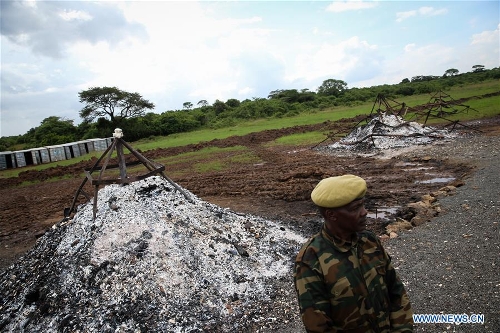 Kenya to display ashes of burnt ivory to public - Global Times