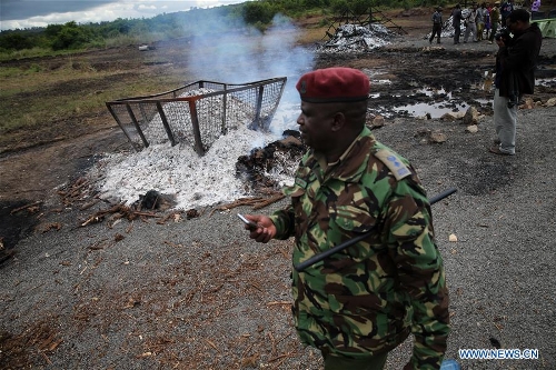 Kenya to display ashes of burnt ivory to public - Global Times