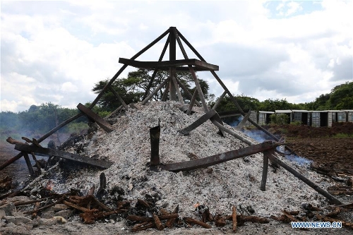 Kenya to display ashes of burnt ivory to public - Global Times