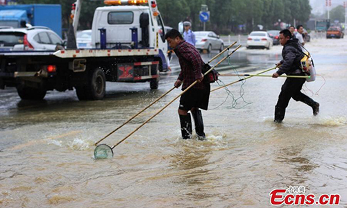 Residents rush to catch fish in flood - Global Times