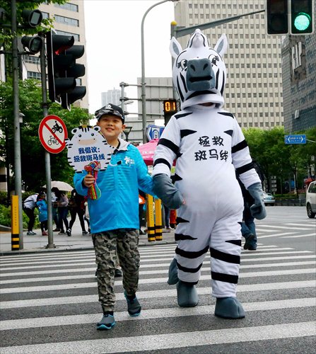 Hello Mr Zebra - Global Times