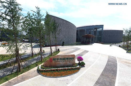 World's 1st rice themed museum to open in C China - Global Times