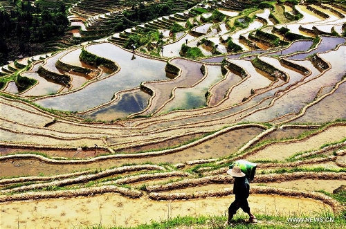 In pics: Terrace fields in SW China's Guizhou - Global Times