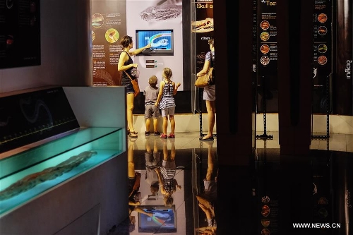 Snake exhibition held at Institute's snake museum in Bangkok - Global Times