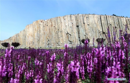 Scenery of Mashan Hoodoos in China's Shandong - Global Times