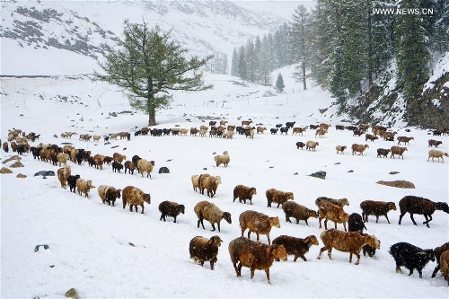 Snow scenery of east Tianshan Mountain in China's Xinjiang - Global Times