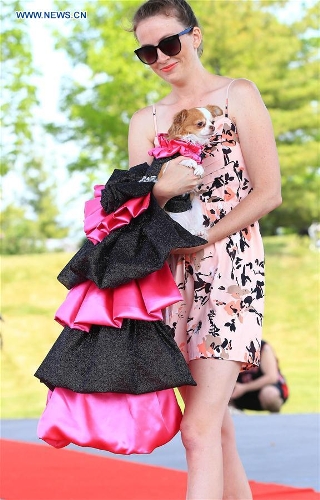Pet dogs dressed up for fashion show in Toronto - Global Times