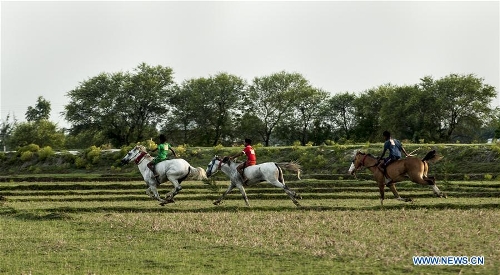 Indian children take part in horse race - Global Times