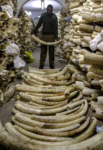 Ivory bank - Global Times