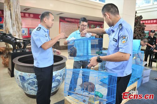 Police rescue 96 wild animals in online trafficking bust - Global Times