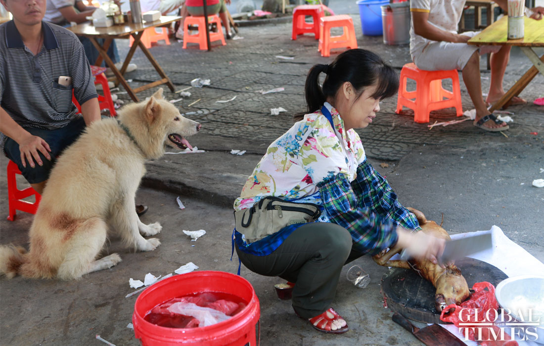 South China’s Yulin dog meat festival begins as dog lovers descend on ...