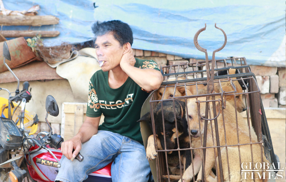 South China’s Yulin dog meat festival begins as dog lovers descend on ...
