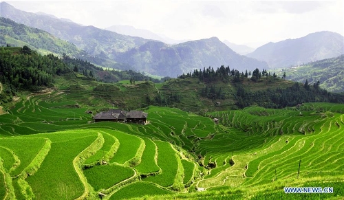 Amazing terraced fields in China's Guizhou - Global Times