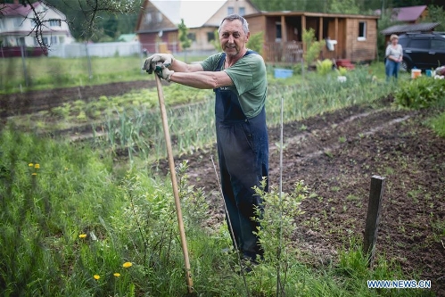 A glimpse into traditional Russian country house: Dacha - Global Times