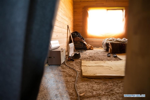 A glimpse into traditional Russian country house: Dacha - Global Times