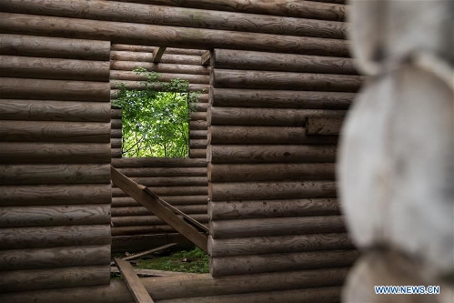 A glimpse into traditional Russian country house: Dacha - Global Times