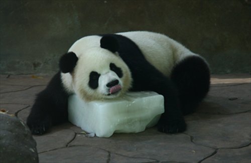 Keep cool and carry on this summer - Global Times