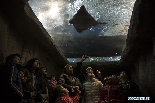 In pics: Temaiken Biopark in Escobar city, Argentina - Global Times