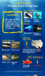 Overfishing threats East China Sea - Global Times