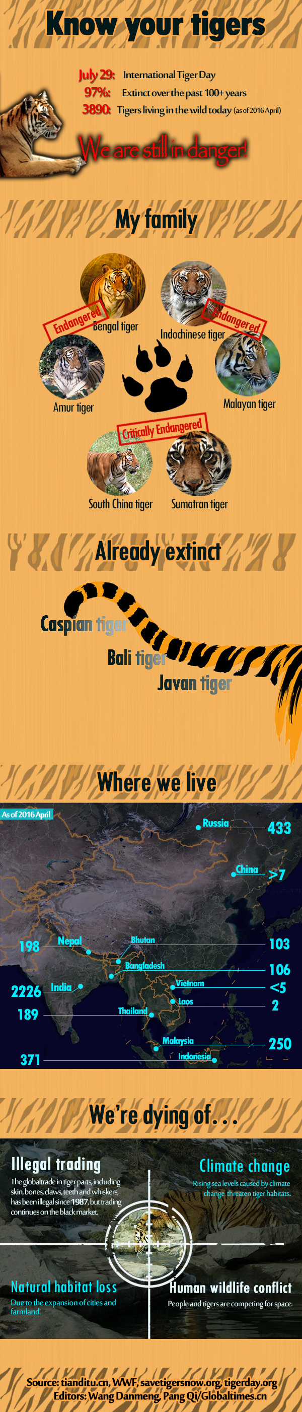 Know your tigers - Global Times
