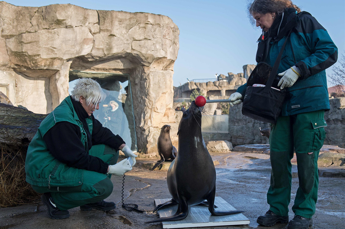 It’s the annual animal inventory at this German zoo - Global Times
