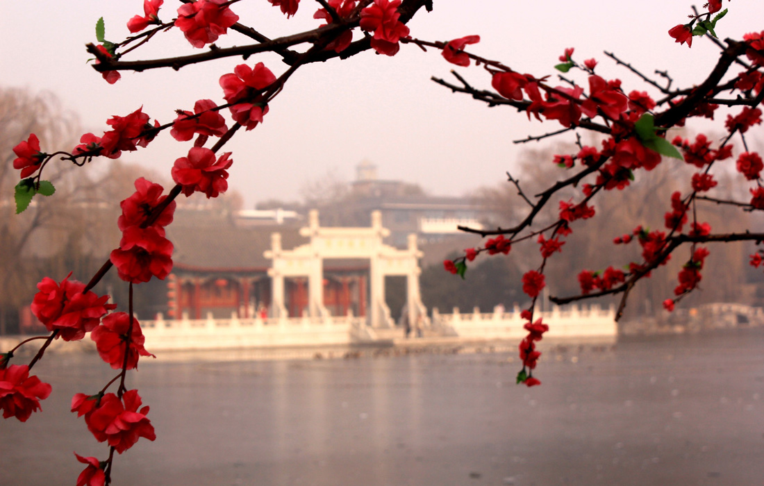 Artificial flowers bloom in Beijing’s Grand View Garden ahead of Spring ...