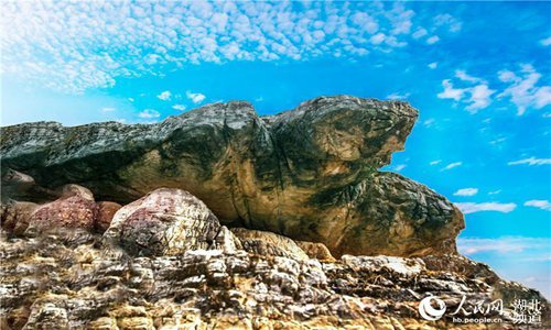 Grotesque rocks resemble giant sea turtles - Global Times