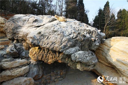 Grotesque rocks resemble giant sea turtles - Global Times