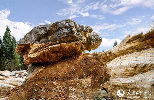 Grotesque rocks resemble giant sea turtles - Global Times