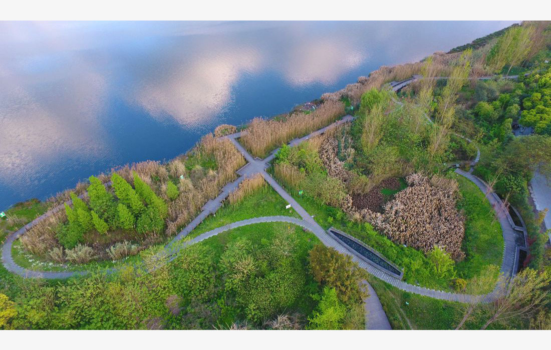 Green scenes of Suining Wetland Park in China’s Sichuan - Global Times