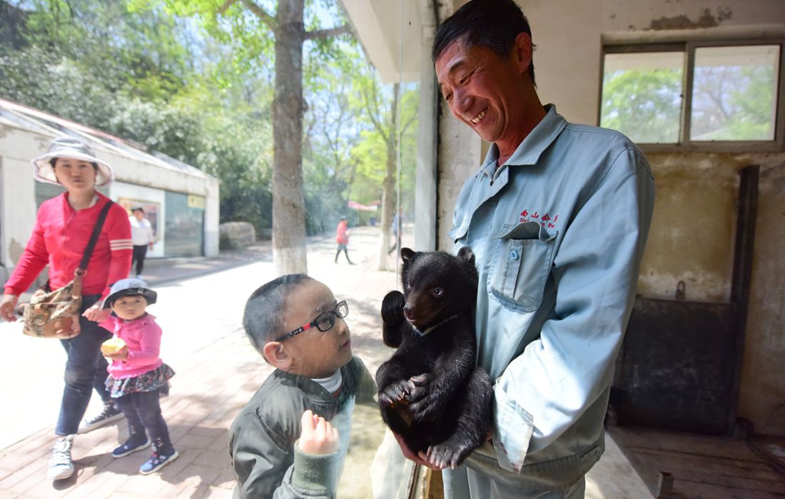 Twin black bear cubs make their debut at Yantai Zoo in China’s Shandong ...